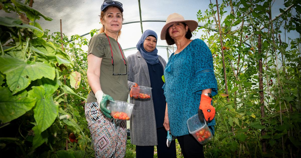 Digitale publicaties | Movisie | Sociaal Fitte Wijken